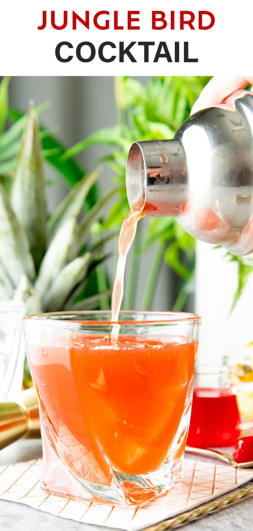 Jungle Bird Cocktail - Beaming Baker