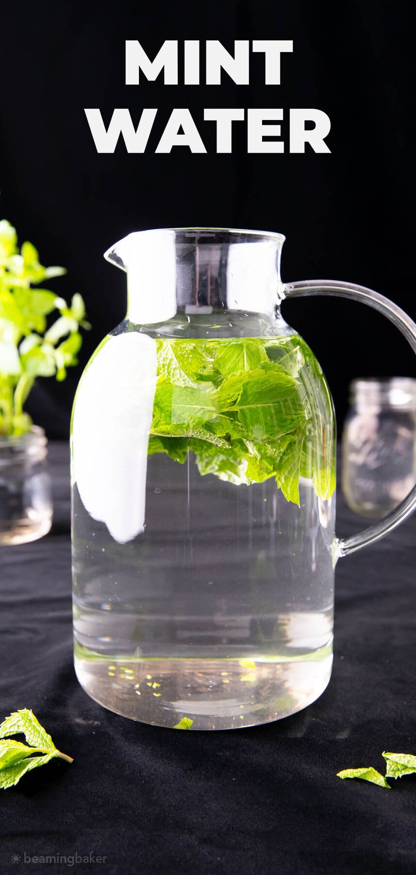 Mint Water - Beaming Baker