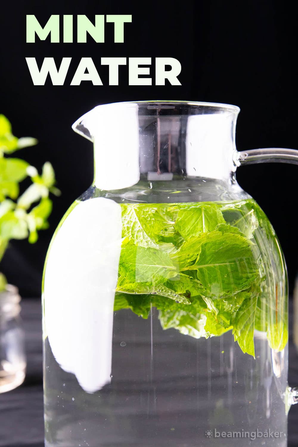 Mint Water - Beaming Baker